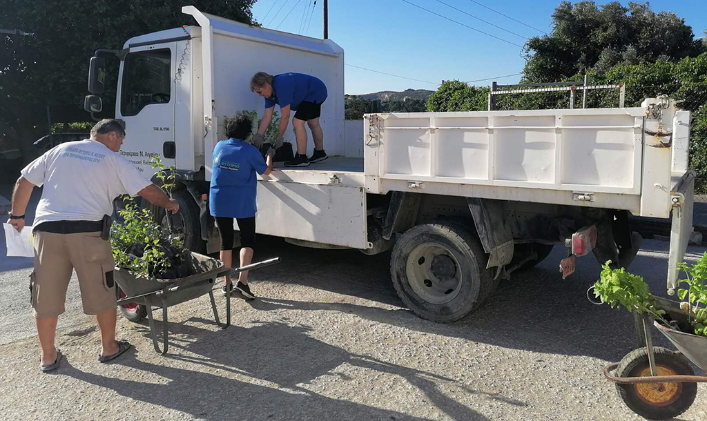 Σε νέες παραδόσεις φυτών προχώρησε η διοίκηση του Περιφερειακού ...