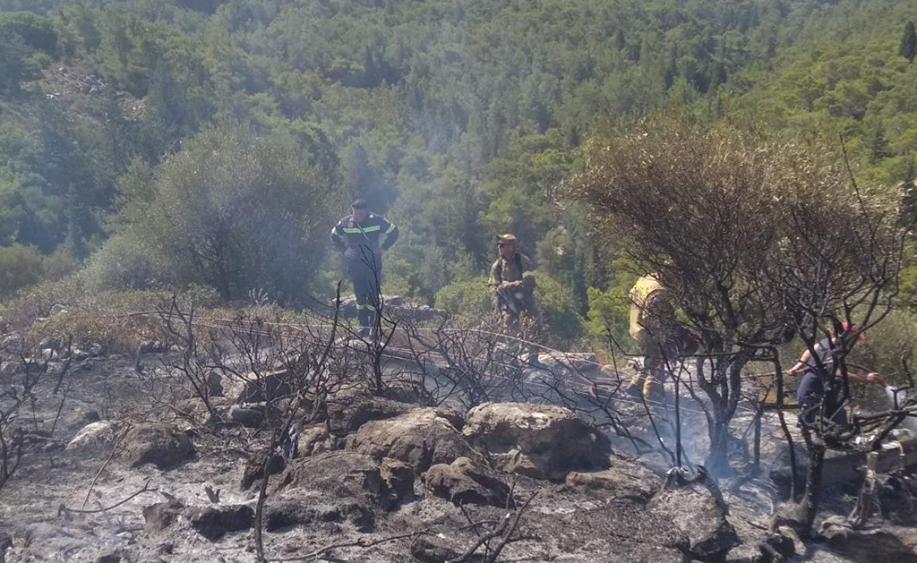 Μεγάλη κινητοποίηση για την κατάσβεση πυρκαγιάς σε δασική περιοχή της ...