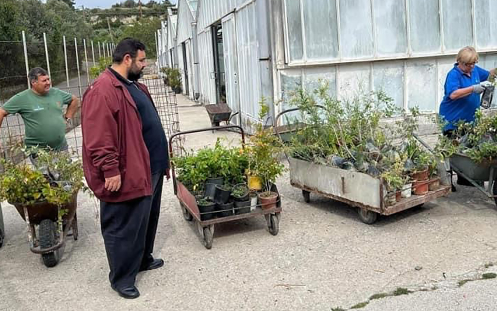 Σε διαρκή παραγωγή και παράδοση φυτών βρίσκεται το Περιφερειακό Φυτώριο ...